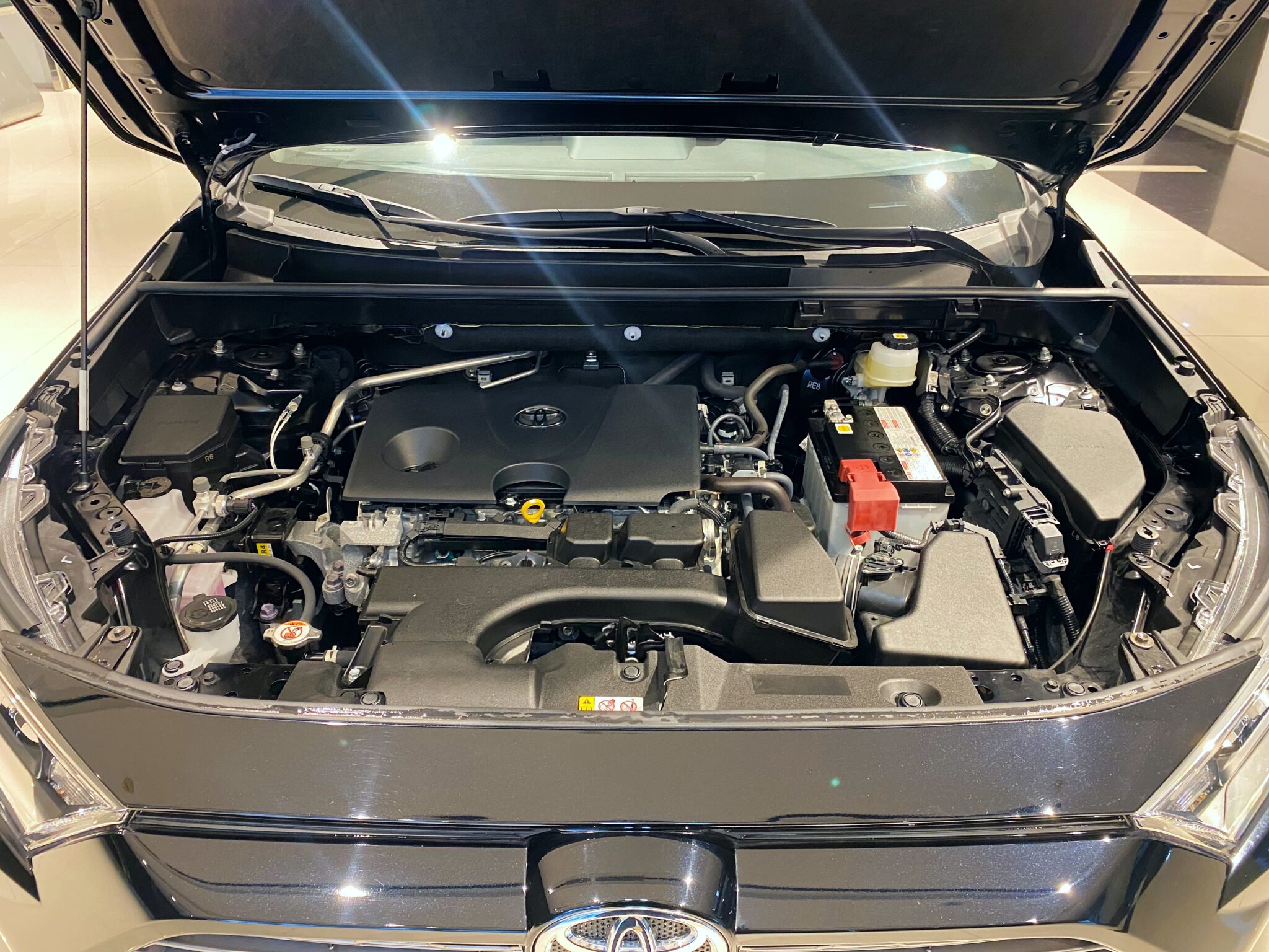RAV4